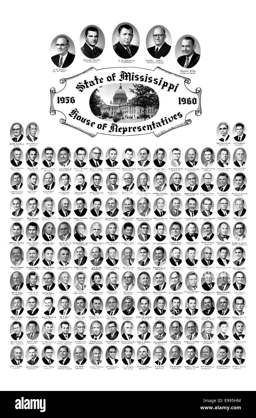 Mid century american house Cut Out Stock Images & Pictures - Alamy