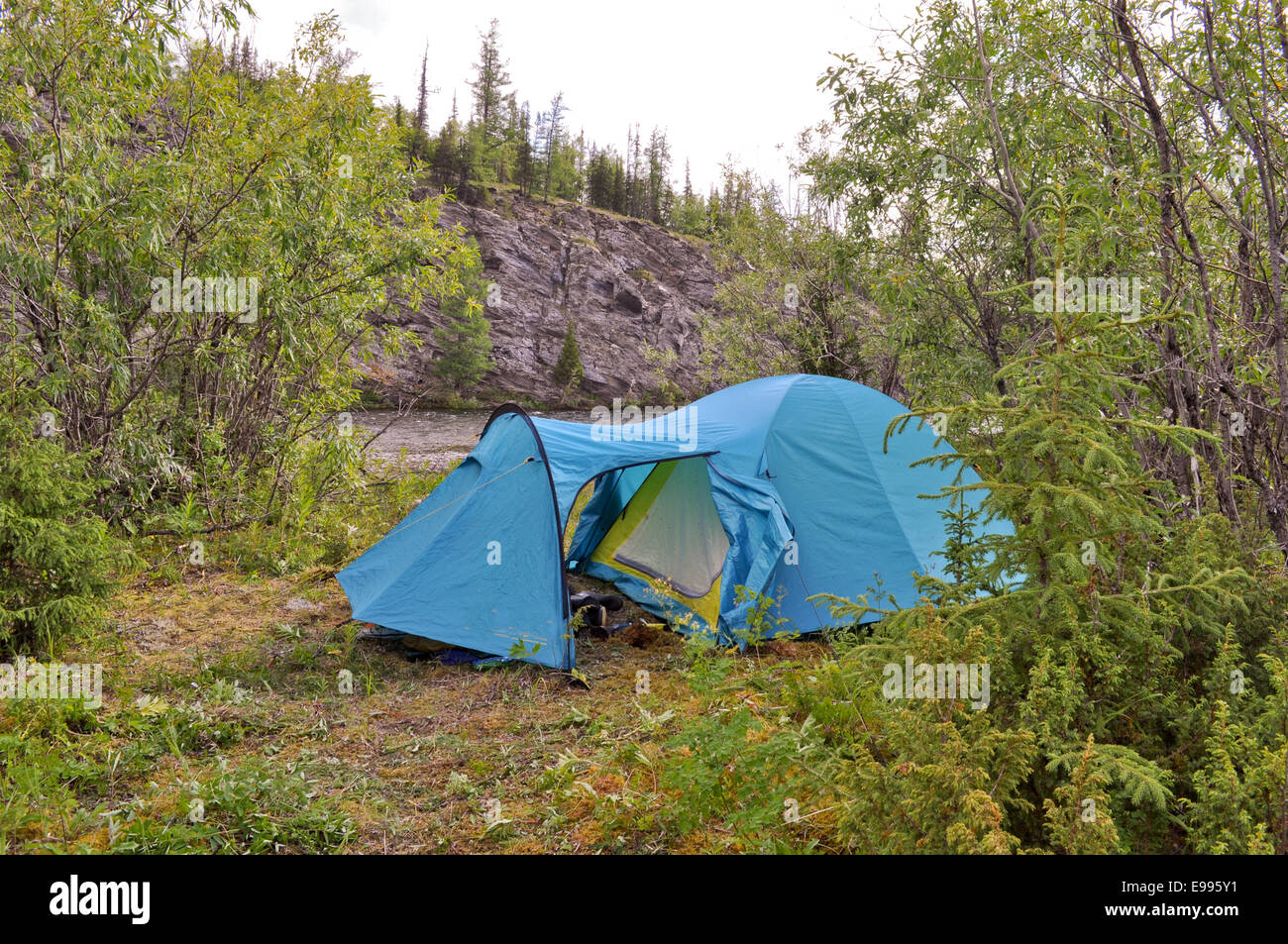 Camping tent installed in the willow bushes in front of the cliff on ...