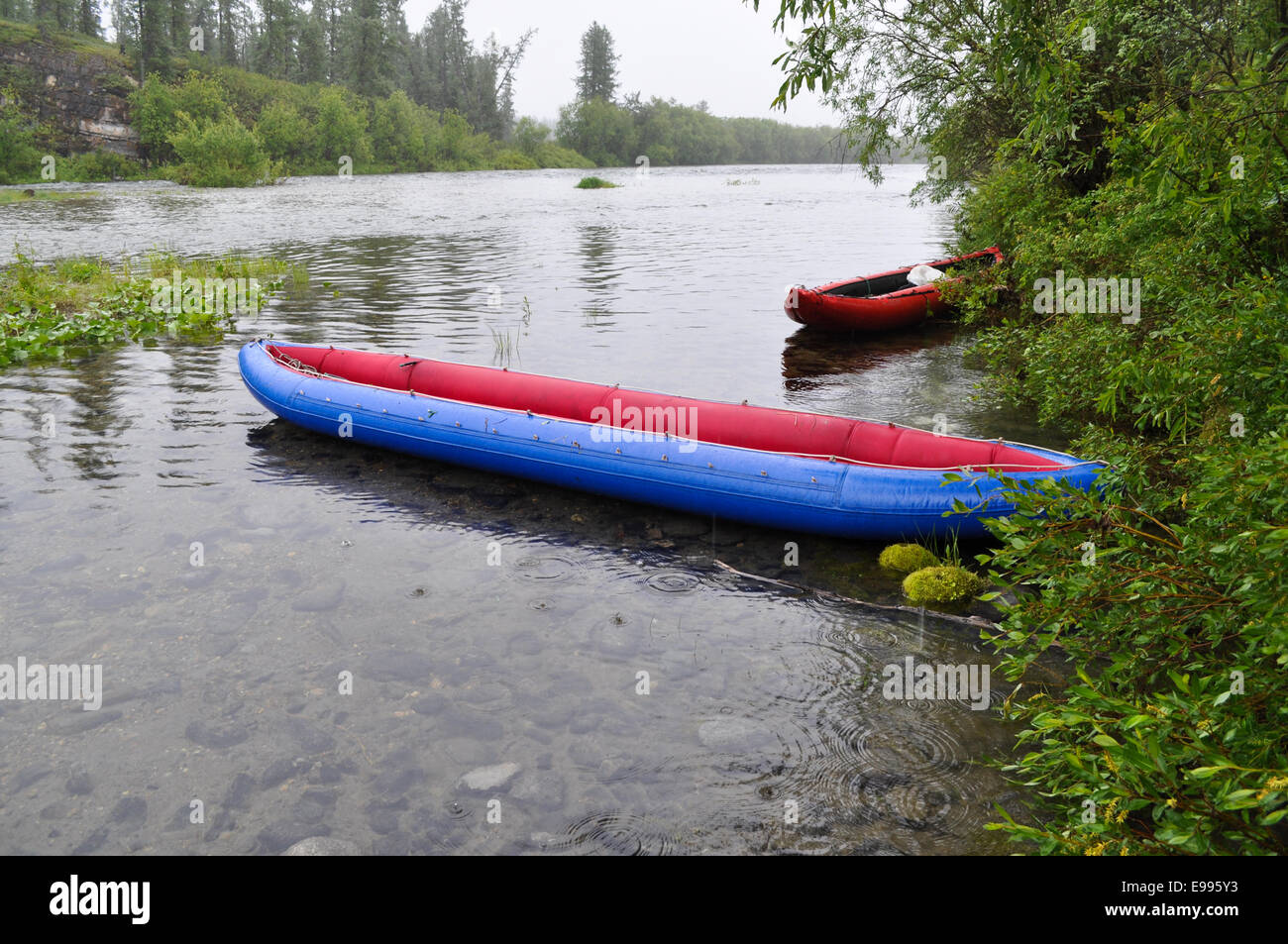 Tourist boat on the North taiga mountain river in the area of the Polar ...