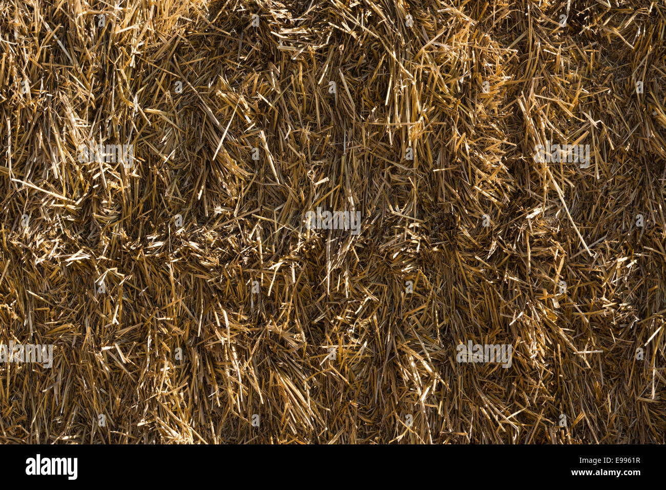 Stacked wheat straw bales hi-res stock photography and images - Alamy