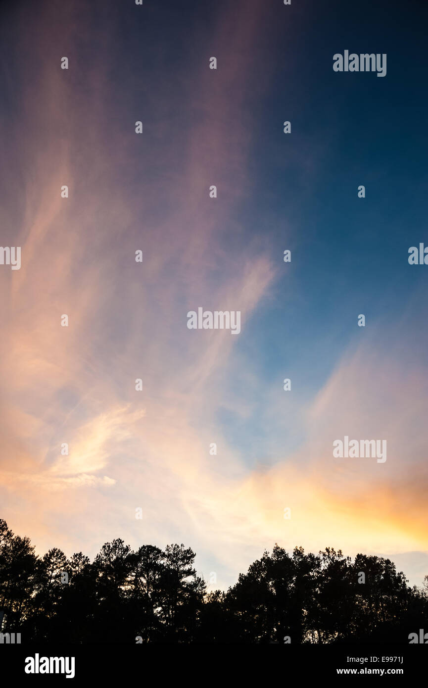 Treeline hi-res stock photography and images - Alamy