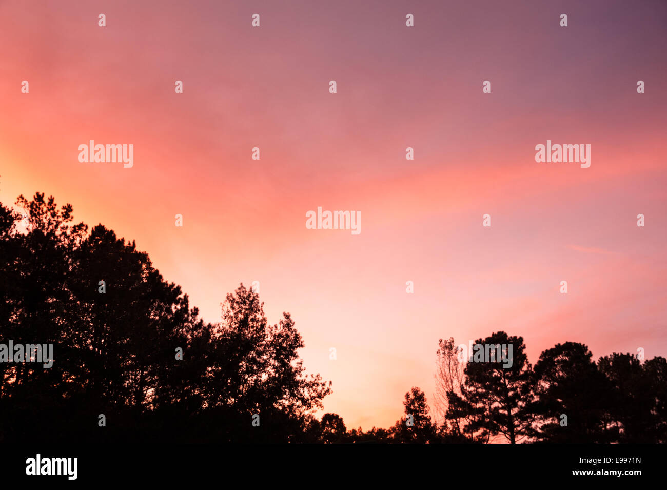 Brilliant sunset sky above silhouetted treeline near Atlanta, Georgia ...