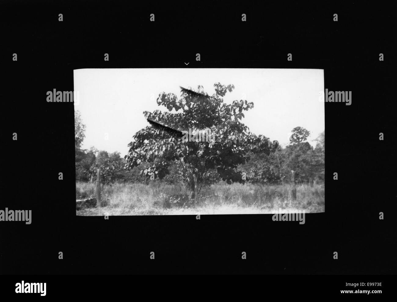 Valuable company Black and White Stock Photos & Images - Alamy