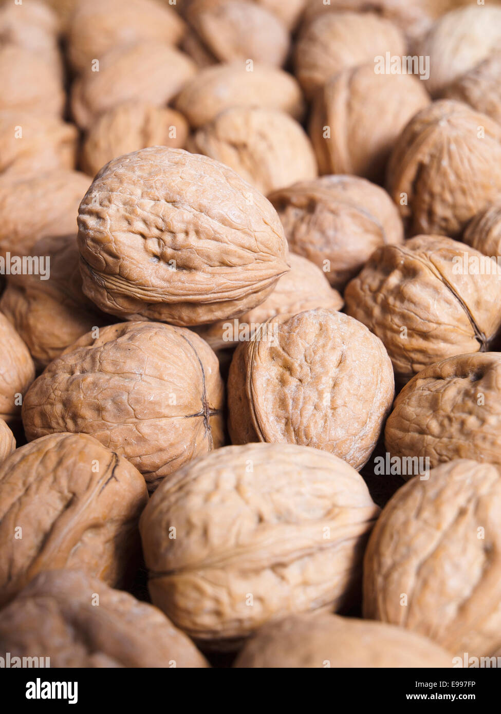 walnuts background in a studio shot Stock Photo - Alamy