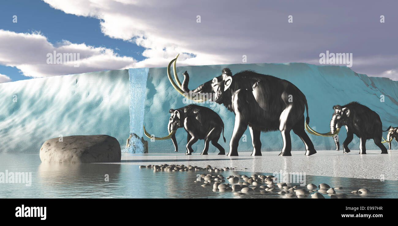 A herd of Woolly Mammoths encounter a huge glacier covering the Arctic ...