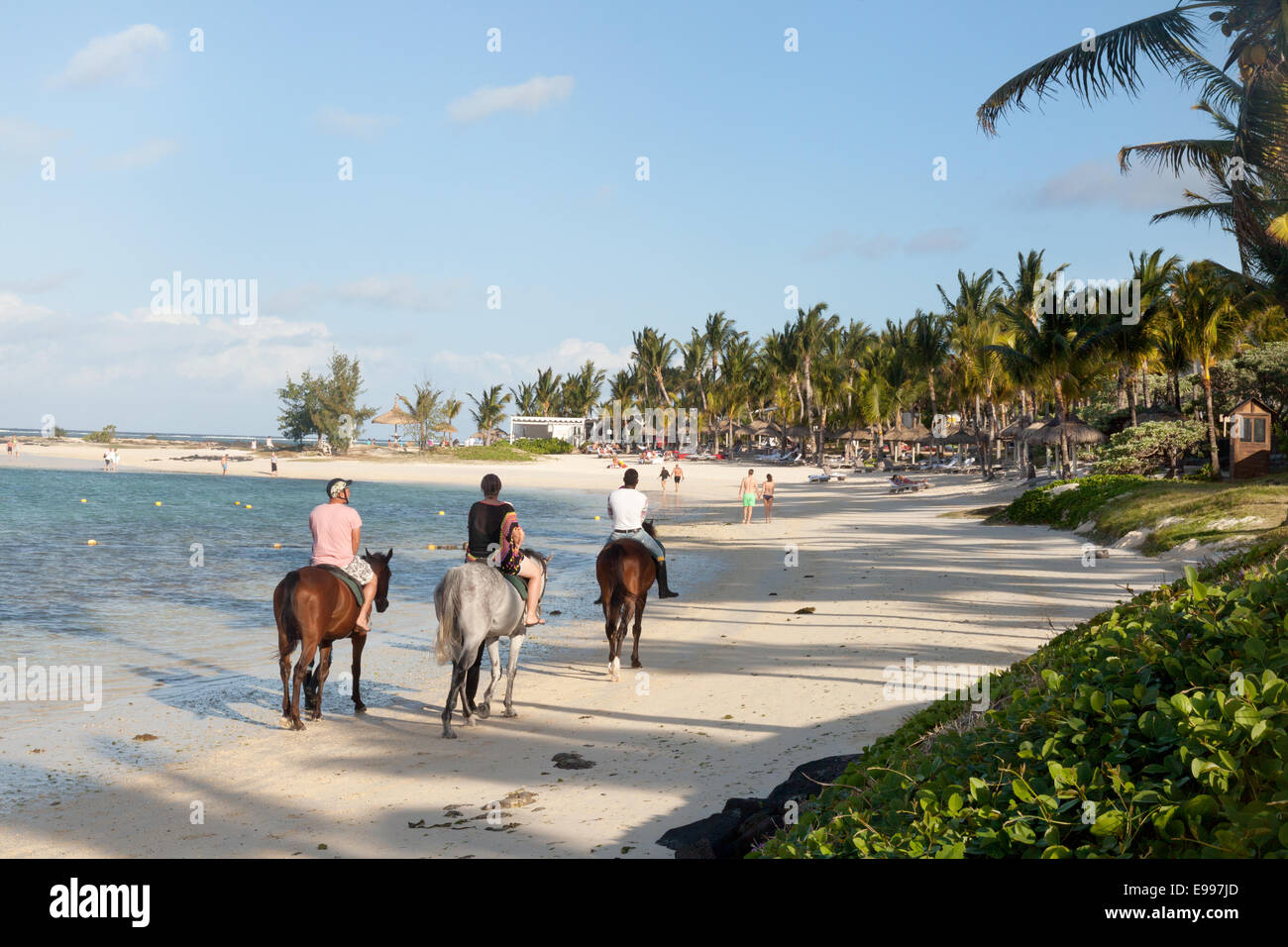 Mauritius horse riding; People horse riding on the beach, Belle Mare ...