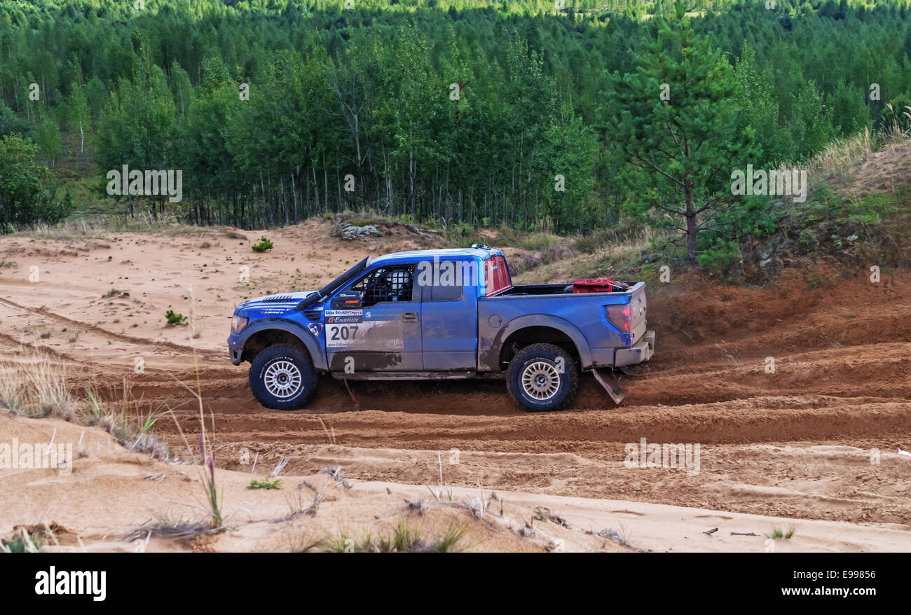 Races on a rally-raid on sandy dunes. Racing car number 207 Stock Photo ...
