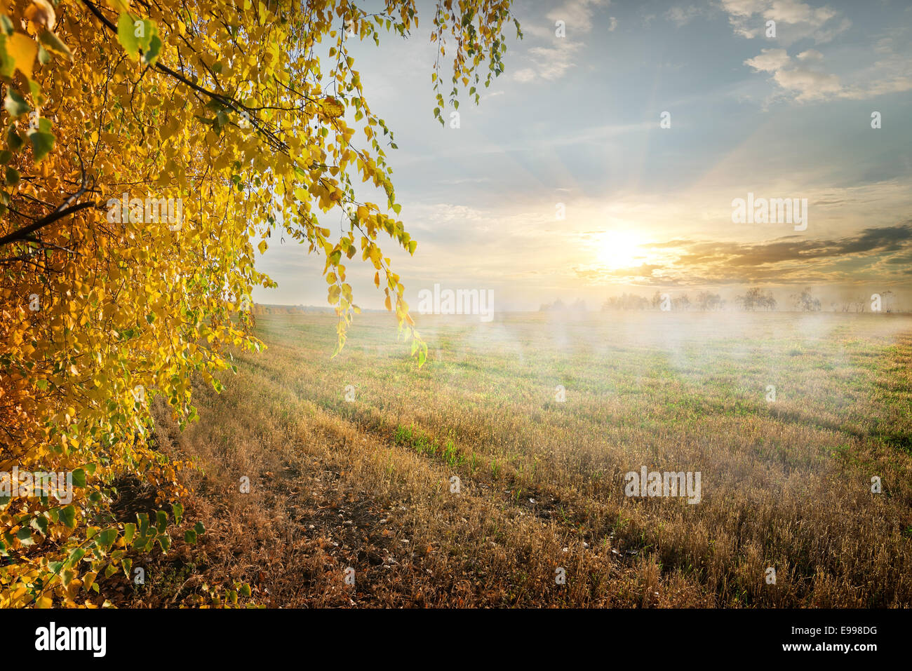 Fog in field evening hi-res stock photography and images - Alamy