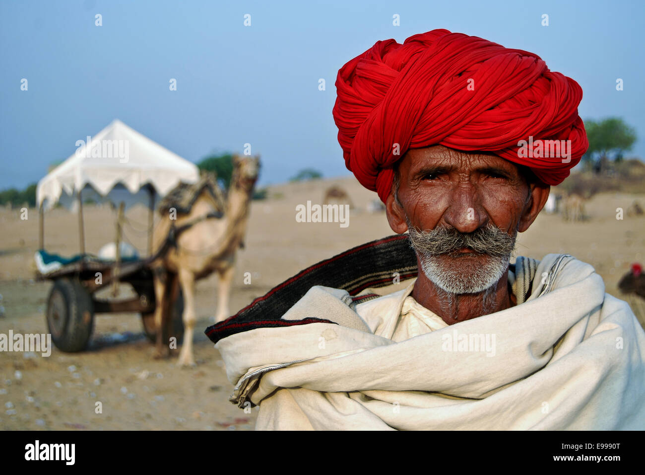 Camel cart hi-res stock photography and images - Alamy