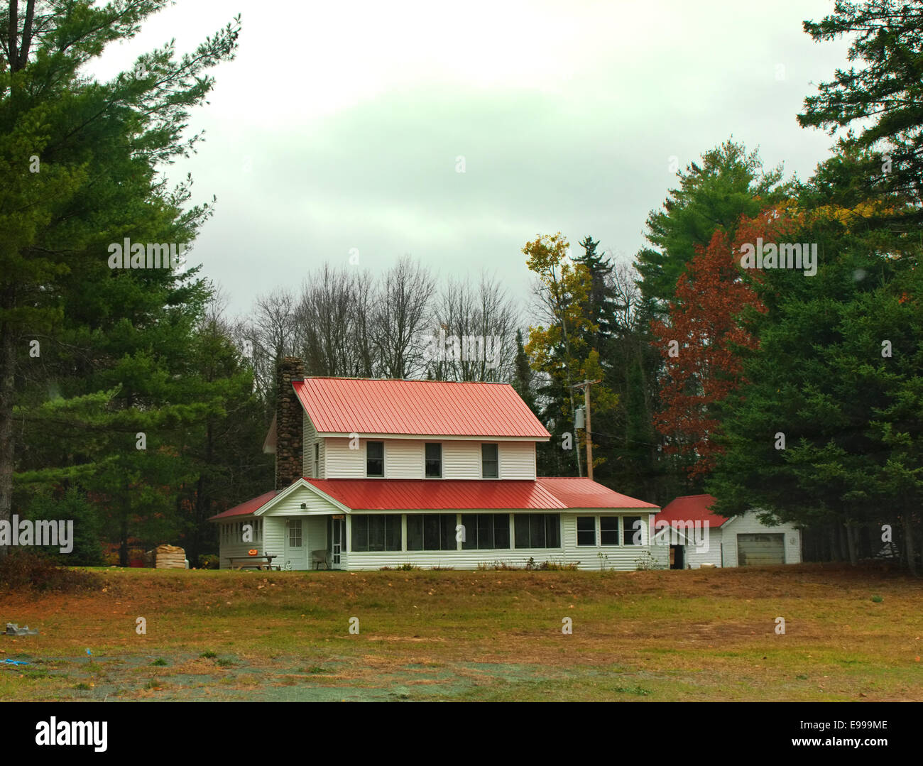 simple home in forest area Stock Photo - Alamy