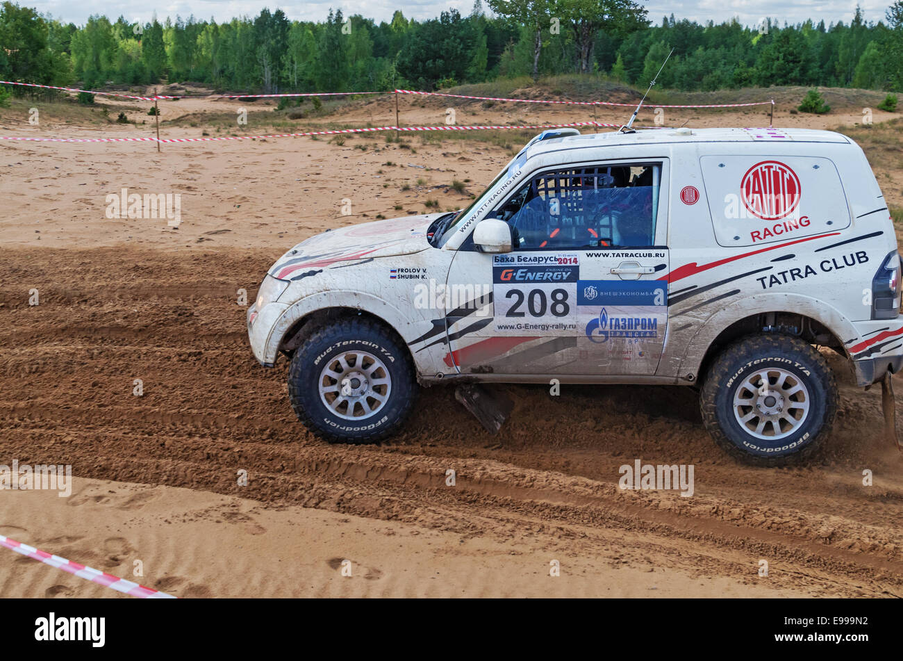 Races on a rally-raid on sandy dunes. Racing car number 208 Stock Photo ...