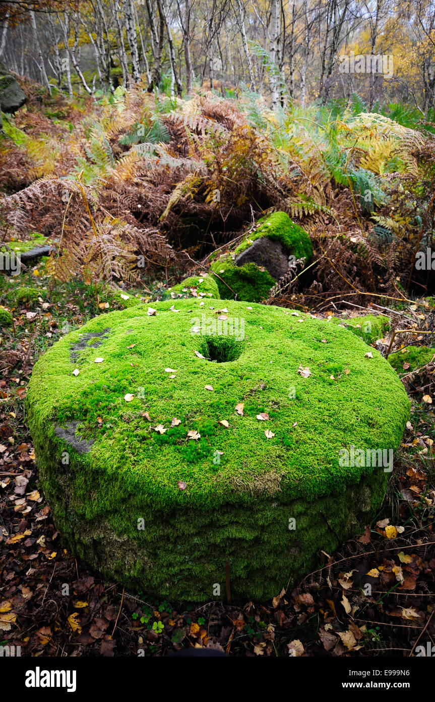 A round millstone covered in green moss at Bolehill quarry in ...