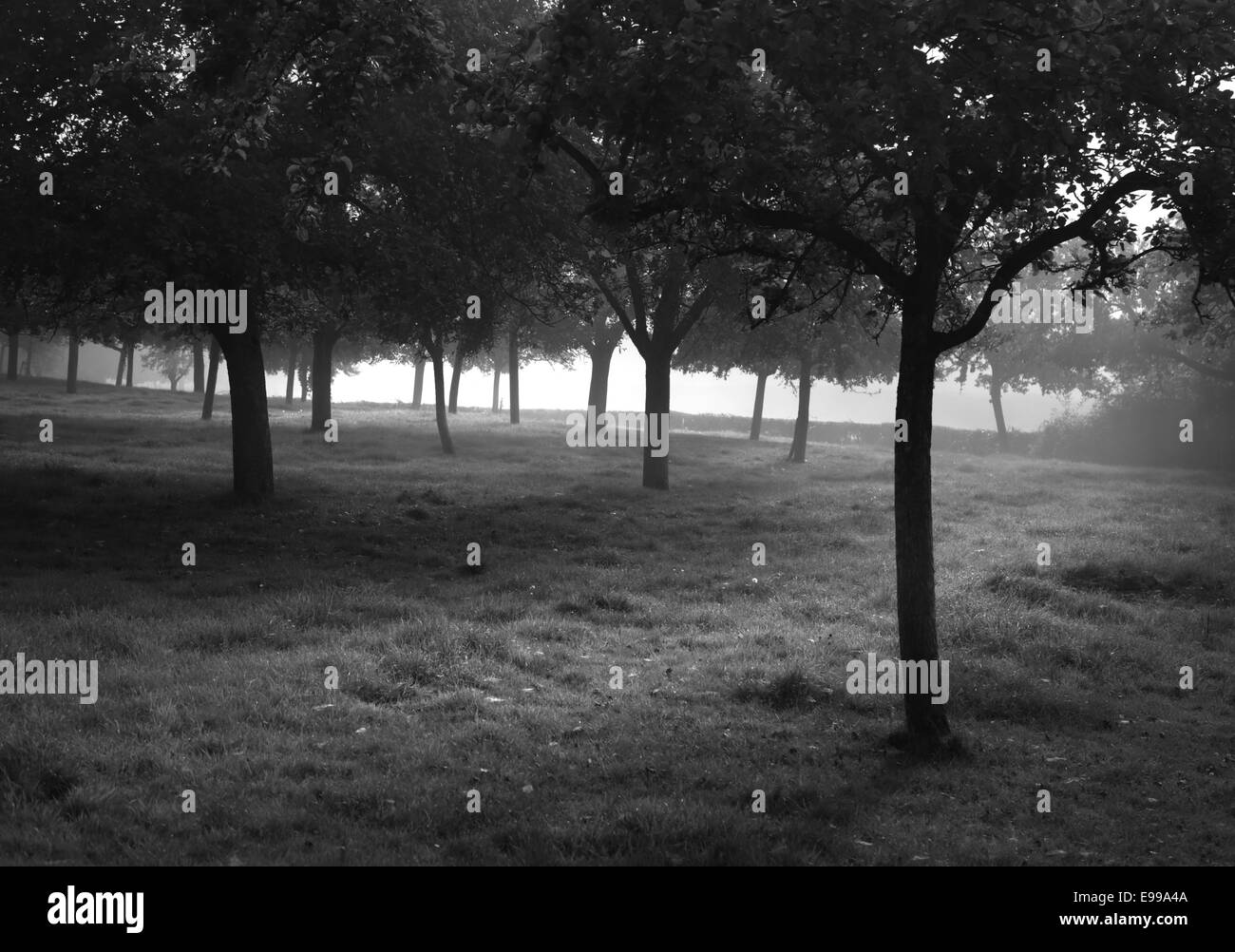 Hereford cider hi-res stock photography and images - Alamy