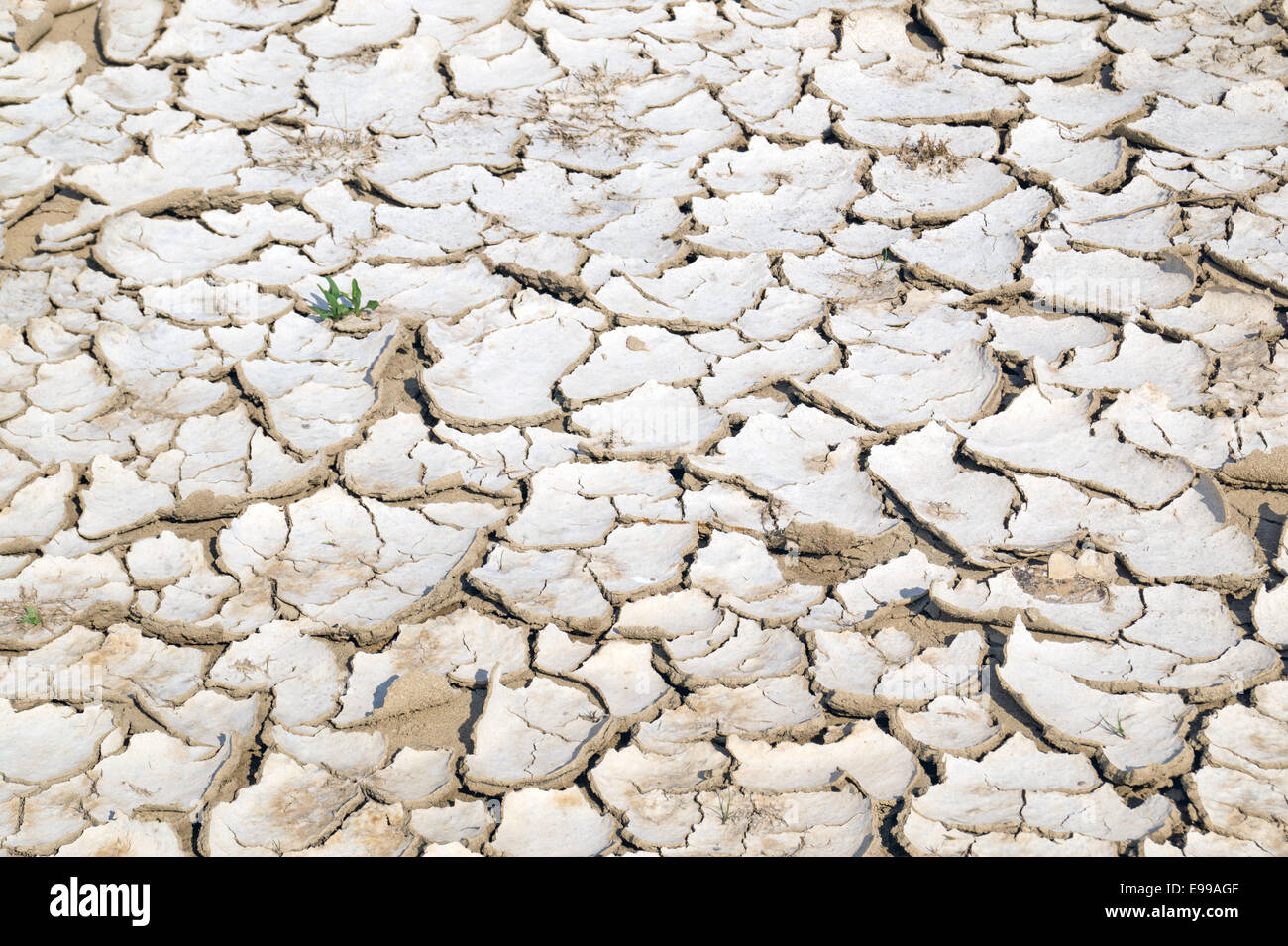 Closeup of dry cracked earth background, clay desert texture Stock ...