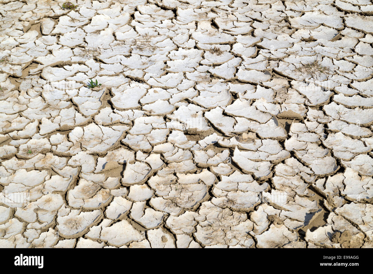 Closeup of dry cracked earth background, clay desert texture Stock ...
