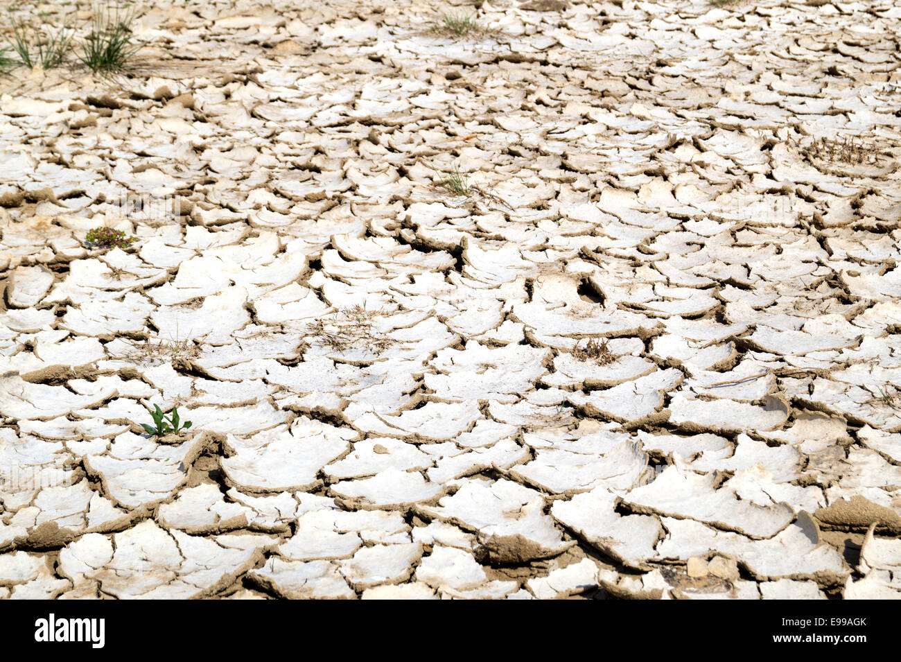 Closeup of dry cracked earth background, clay desert texture Stock ...