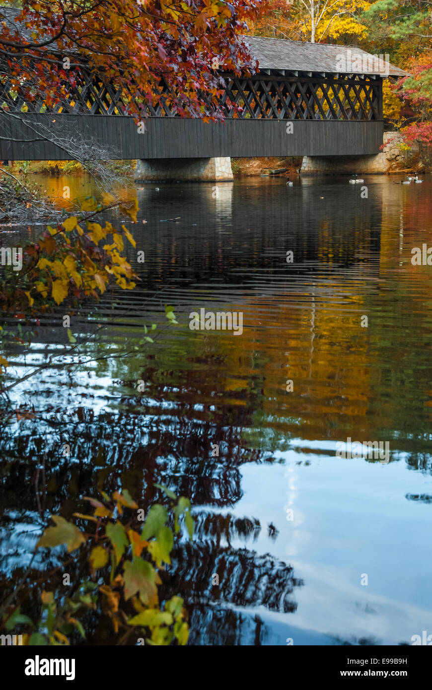Bridge over lake hi-res stock photography and images - Alamy