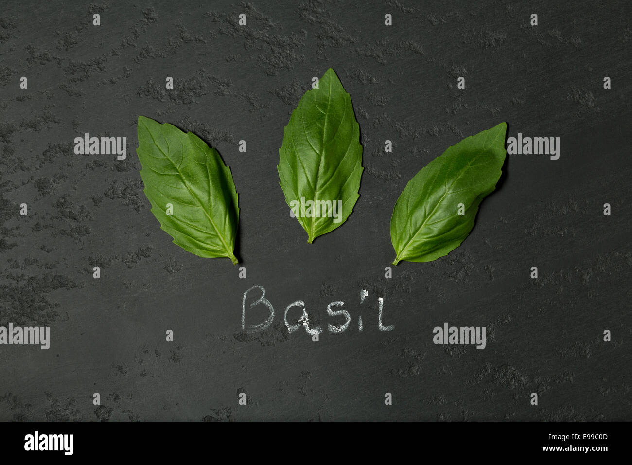 Three fresh basil leaves photographed from above on a slate background ...