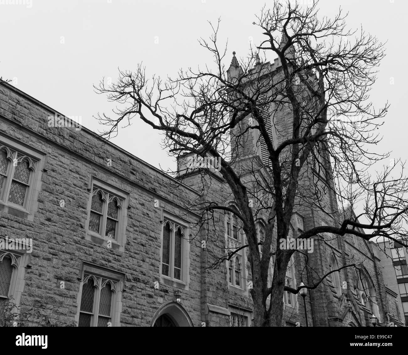 Dormant dormant Black and White Stock Photos & Images - Alamy