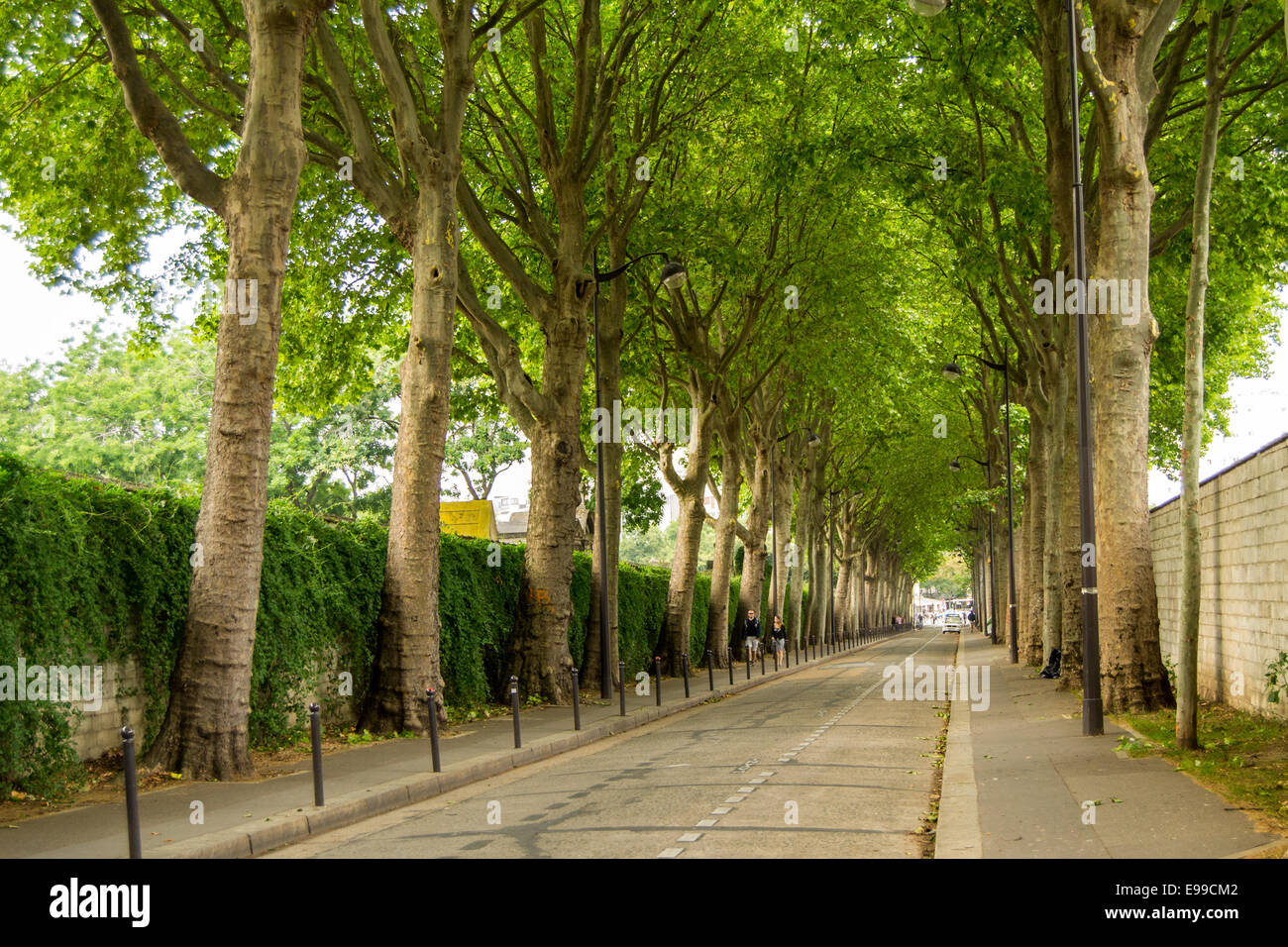 A road between two cemeteries in Paris - Montparnasse Cemetery Stock ...