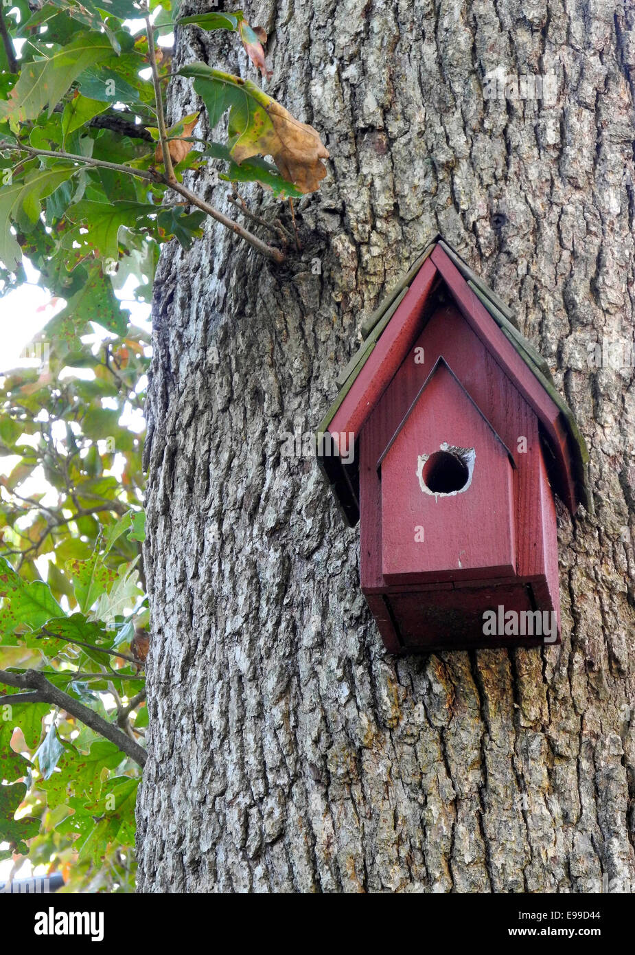 A Birdhouse on the Tree The little red birdhouse awaits guests Stock ...