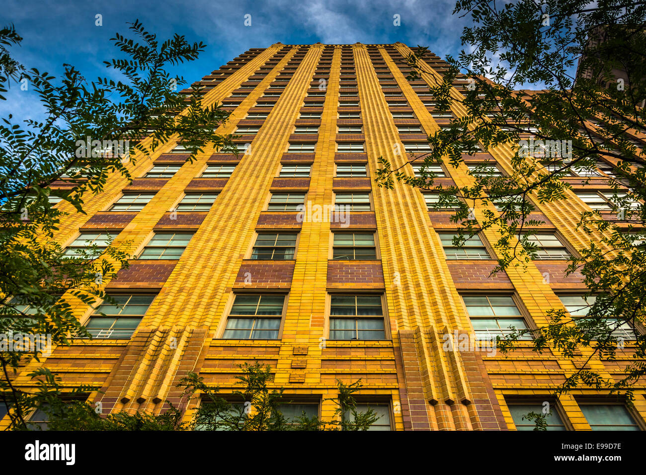 Trees and a skyscraper in Lower Manhattan, New York Stock Photo - Alamy
