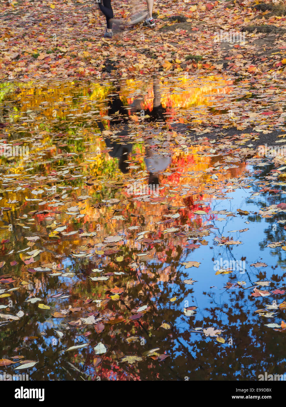 Couple water puddle reflection hi-res stock photography and images - Alamy