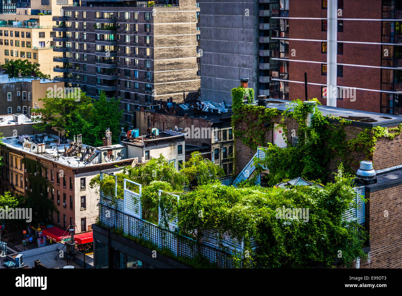 View of buildings in the Turtle Bay neighborhood, from a rooftop on ...