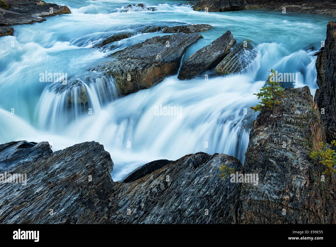 Glacier fed Kicking Horse River rushes over Natural Bridge Falls in ...