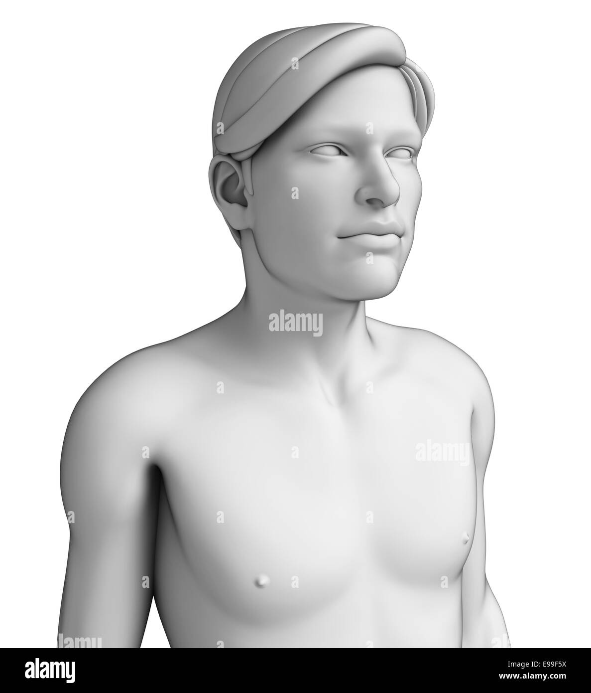 Upper body anatomy hi-res stock photography and images - Alamy