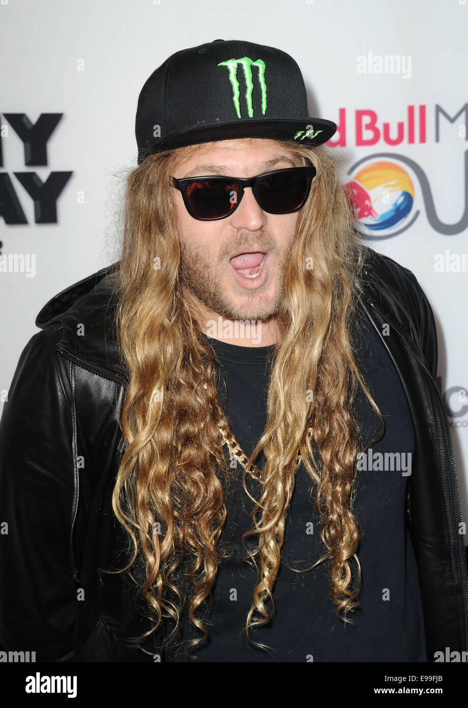 Los Angeles, California, USA. 22nd Oct, 2014. Dingo attending the Los ...