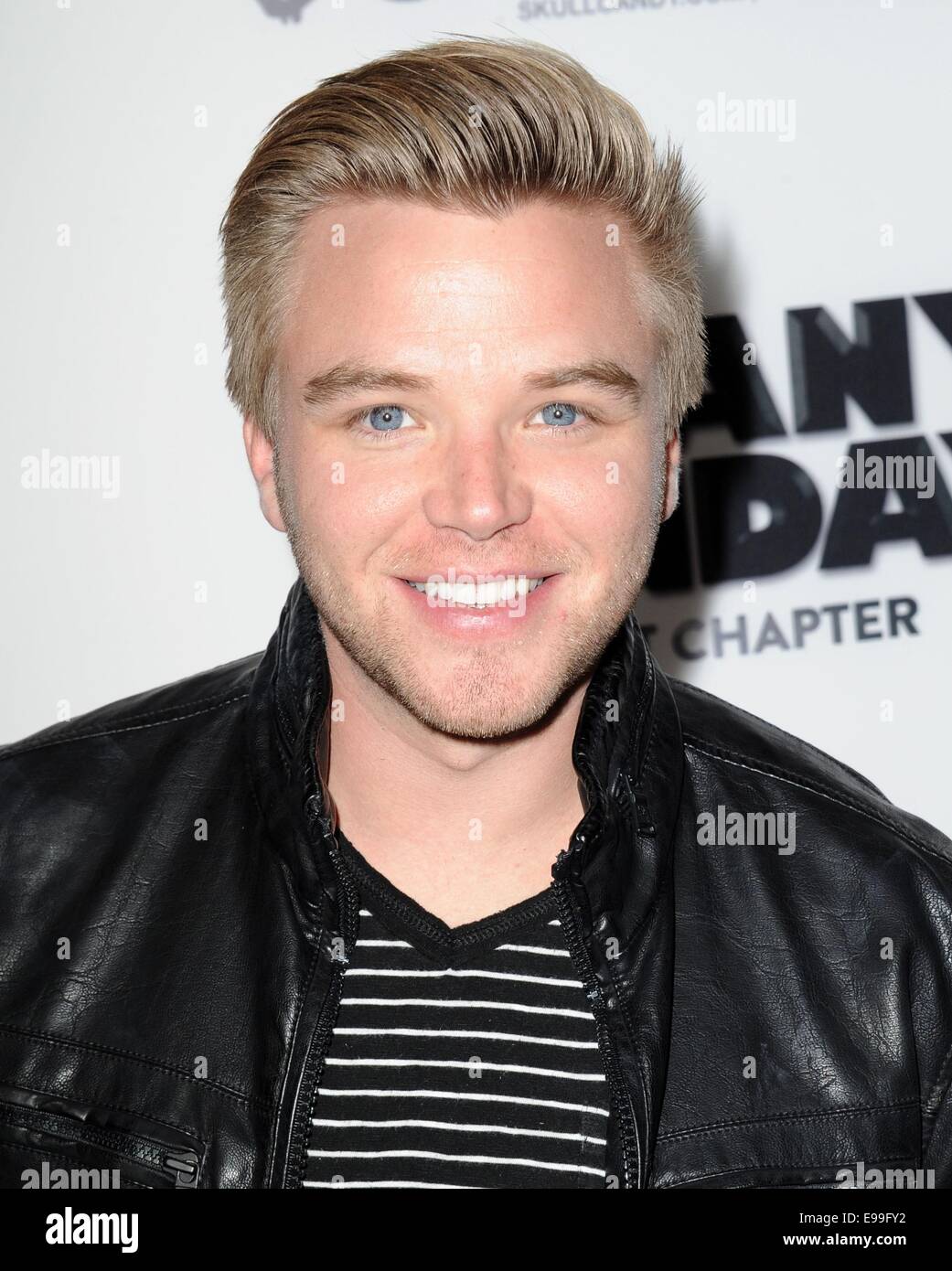 Los Angeles, CA, USA. 22nd Oct, 2014. Brett Davern at arrivals for ON ...