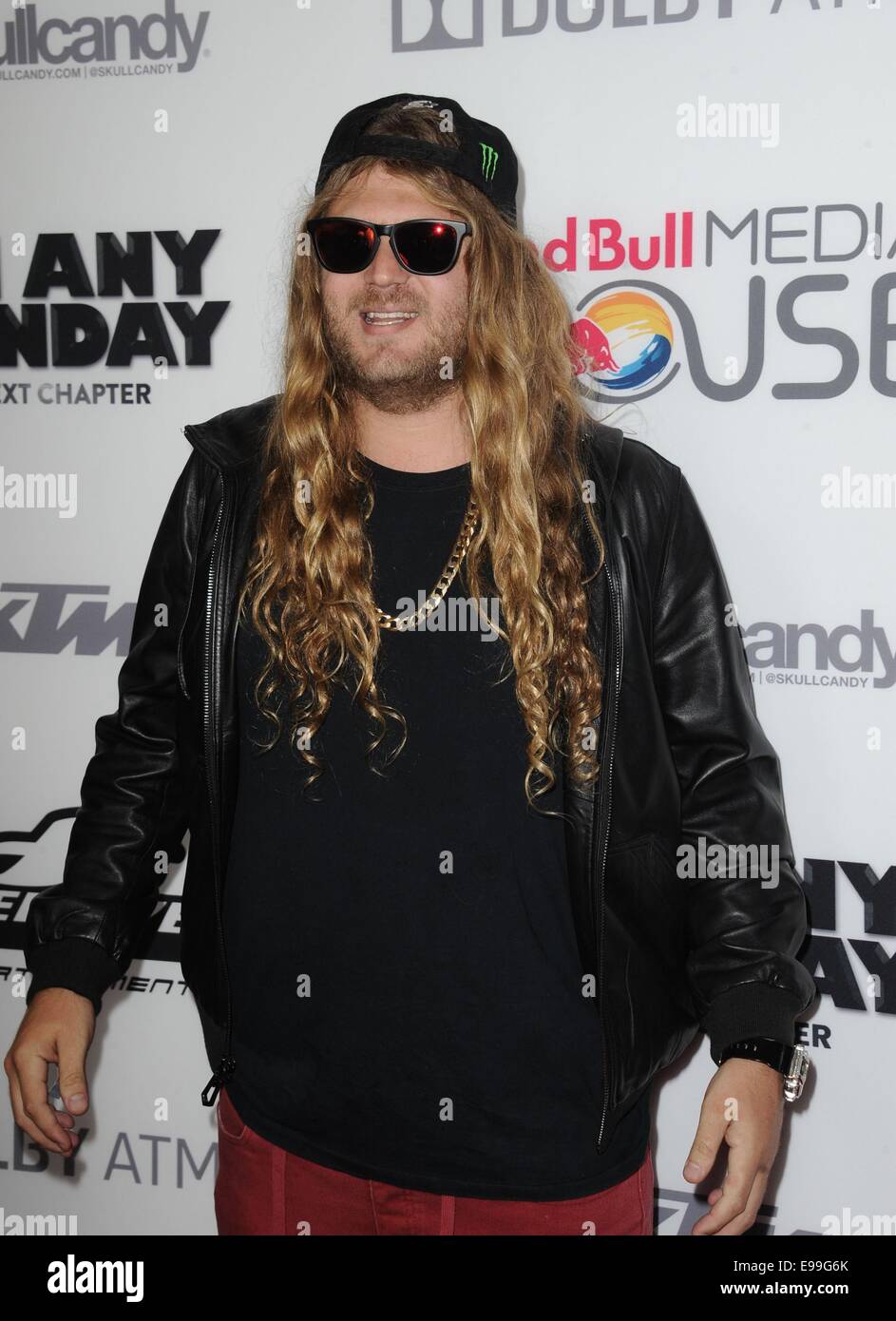 Los Angeles, CA, USA. 22nd Oct, 2014. Dingo at arrivals for ON ANY ...