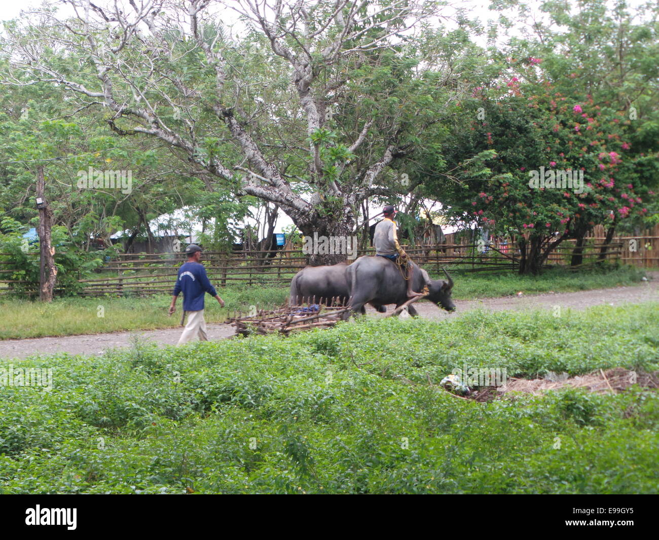 Sablayan, Philippines. 22nd October, 2014. Prisoners at Samblayan Penal ...