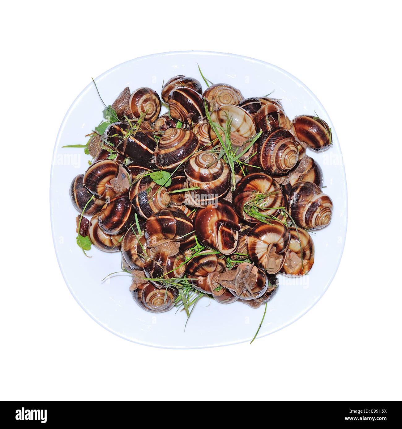 Cooked snails Cut Out Stock Images & Pictures - Alamy