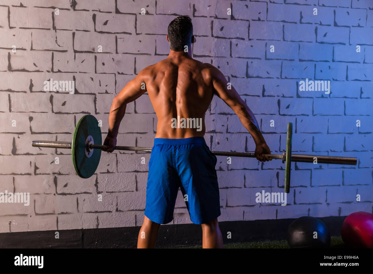 Barbell weight lifting man rear view workout gym weightlifting Stock ...