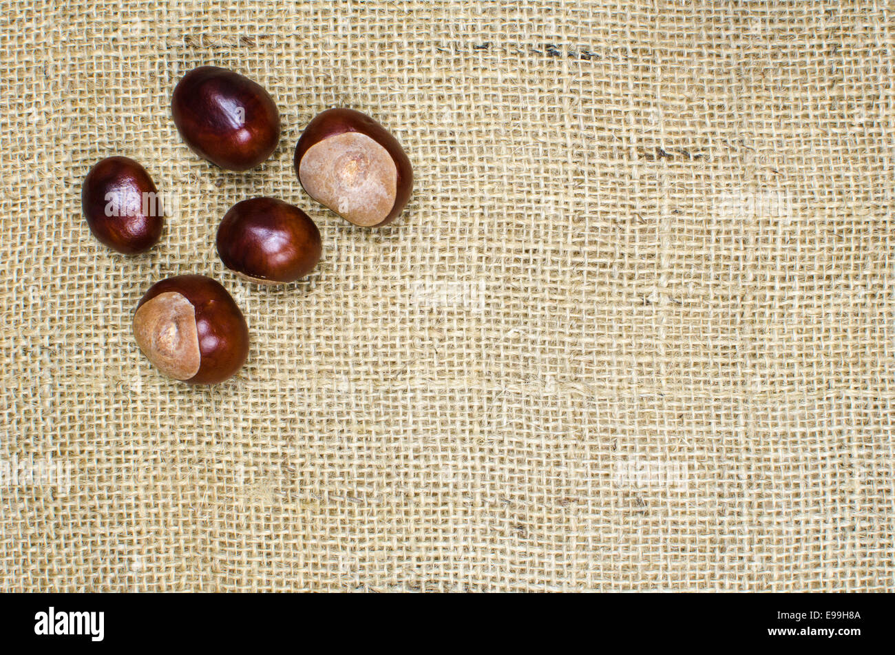 Group of unpeeled sweet chestnuts at a burlap surface Stock Photo - Alamy