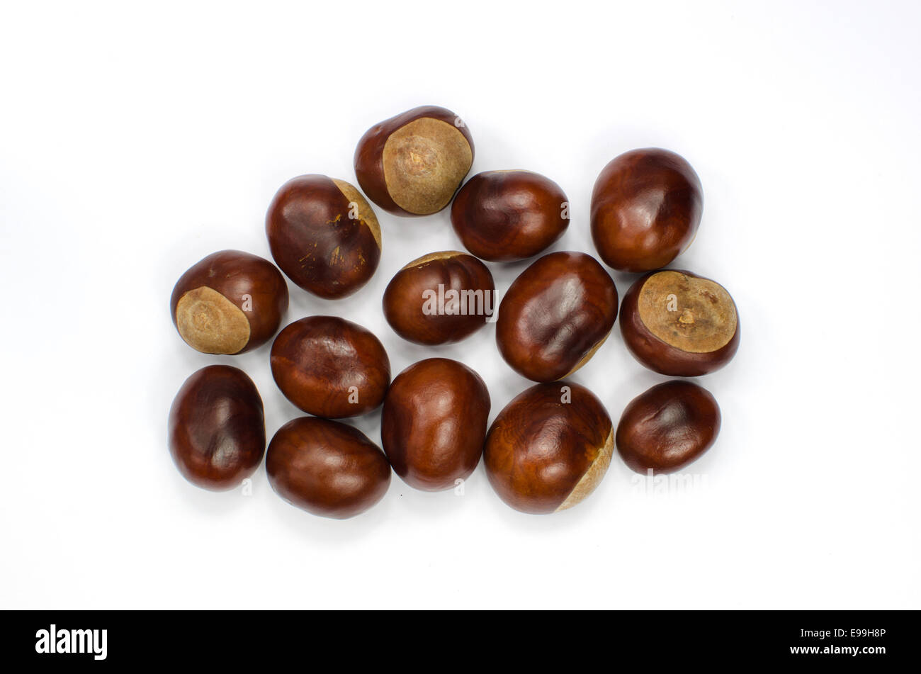 Collection of sweet chestnuts on white background Stock Photo - Alamy