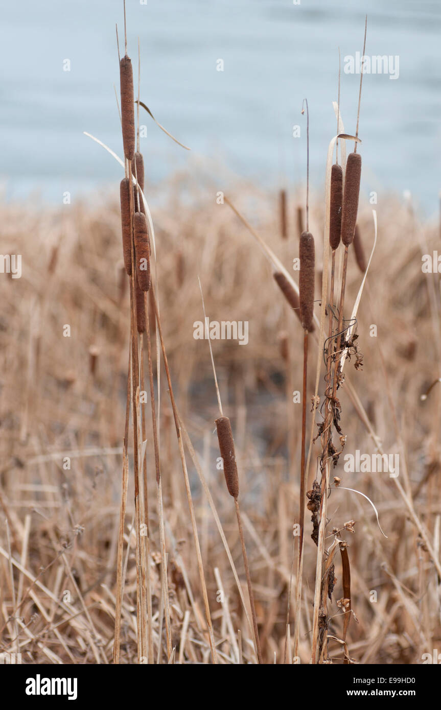Bowyers water hi-res stock photography and images - Alamy