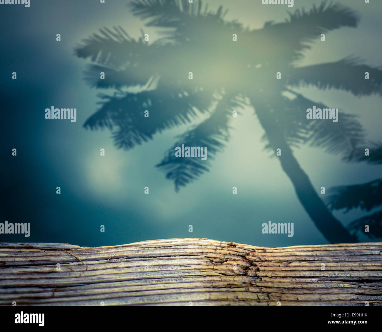 Palm Tree Shadow On Calm Hawaiian Ocean Stock Photo - Alamy