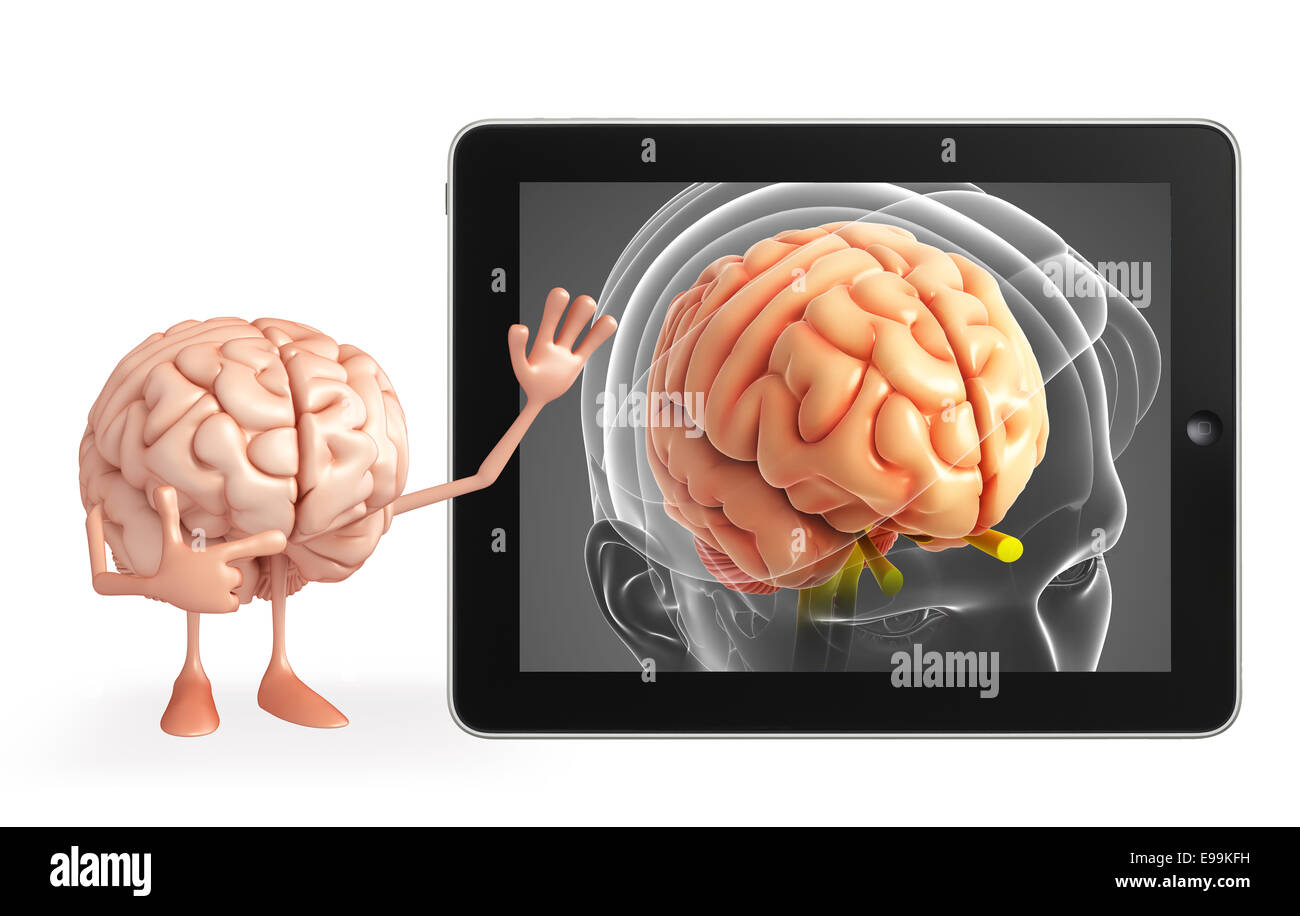 Cartoon character of brain with brain anatomy Stock Photo - Alamy
