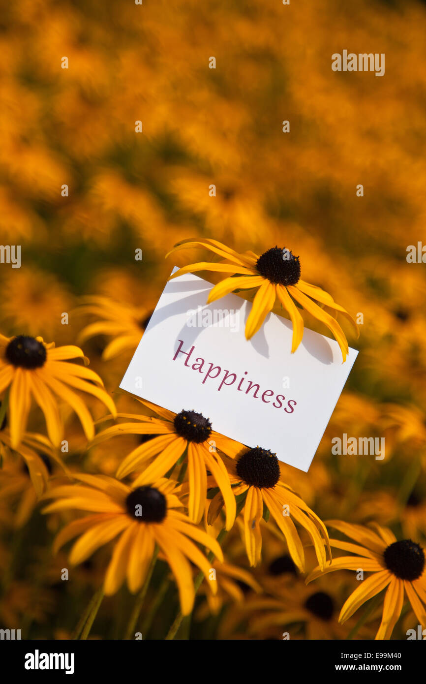 The word Happiness on paper in nature Stock Photo - Alamy