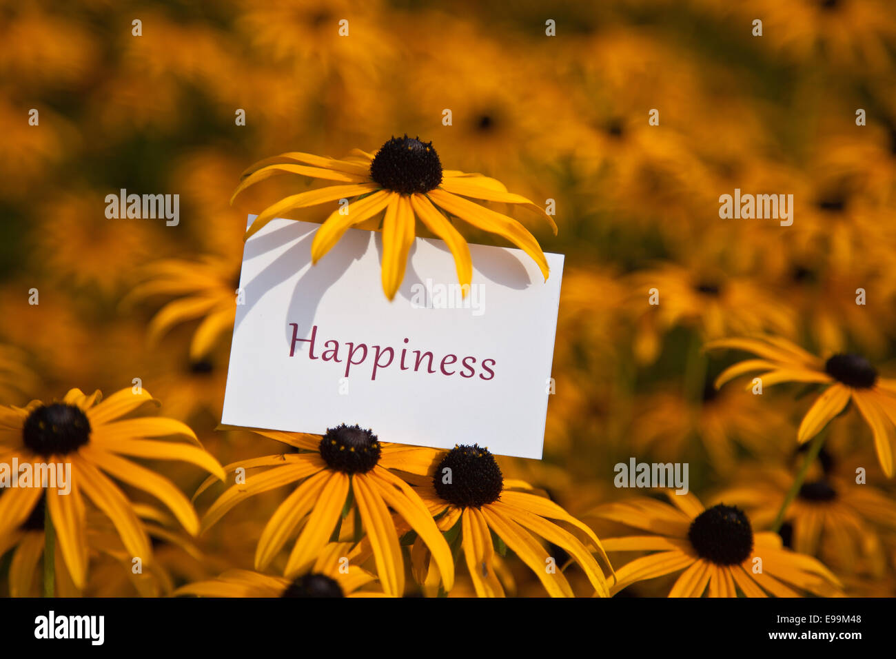 The word Happiness on paper in nature Stock Photo - Alamy