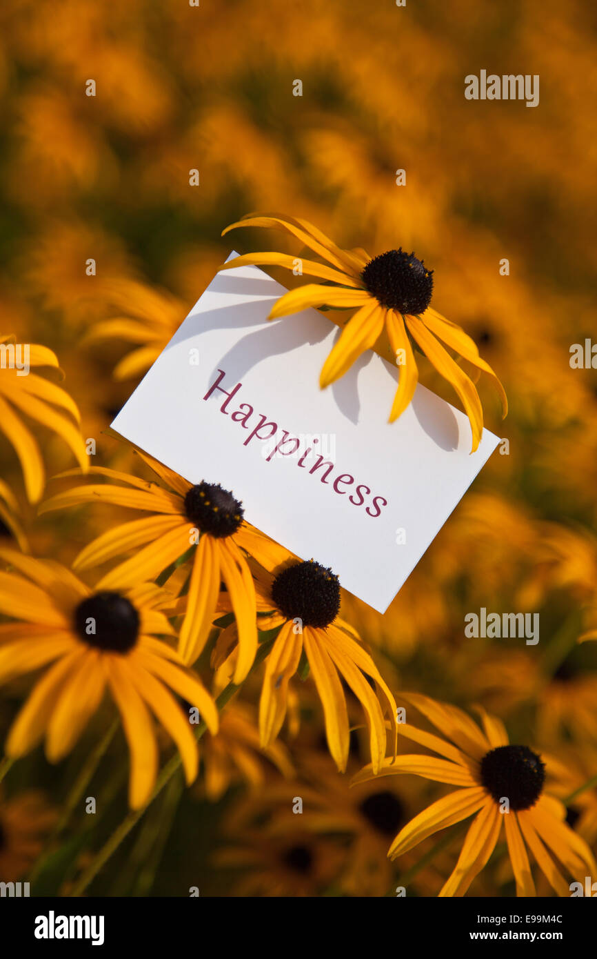 The word Happiness on paper in nature Stock Photo - Alamy