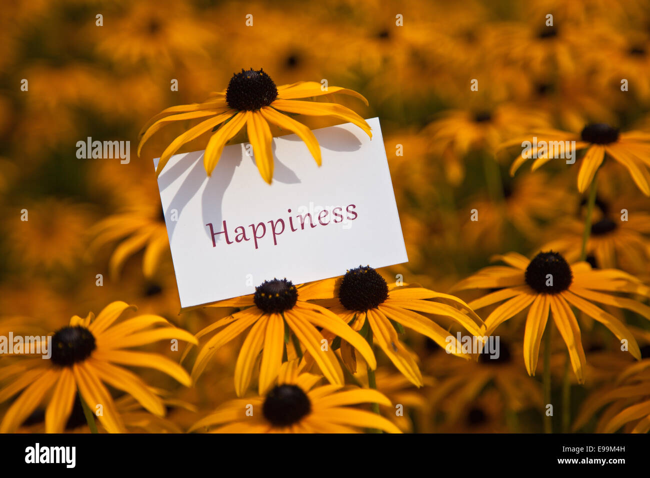 The word Happiness on paper in nature Stock Photo - Alamy