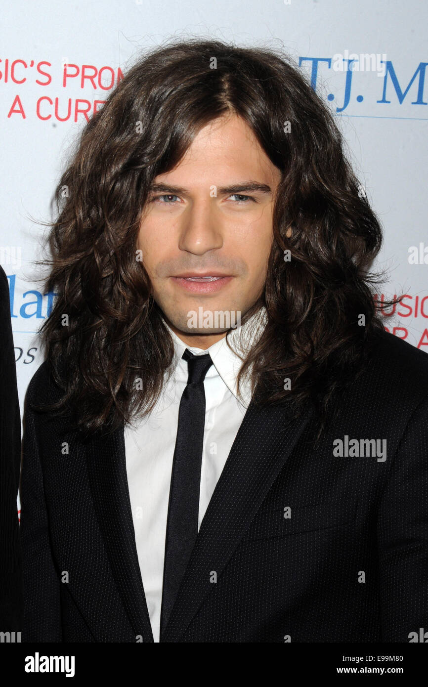 New York City. 21st Oct, 2014. Reid Perry attends the 2014 TJ Martell ...