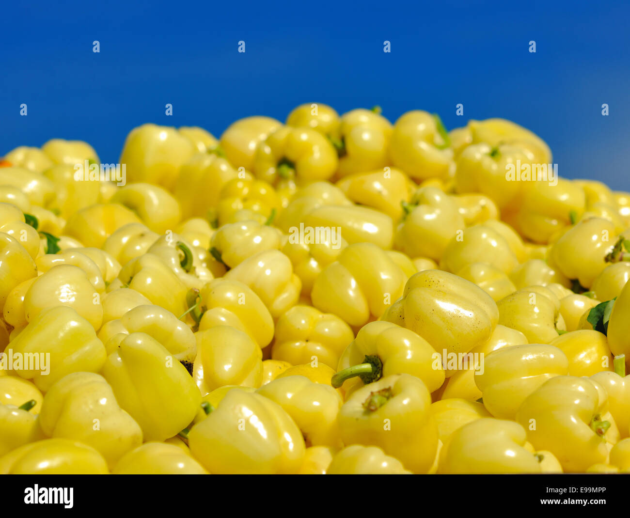 fresh organic food peppers Stock Photo - Alamy