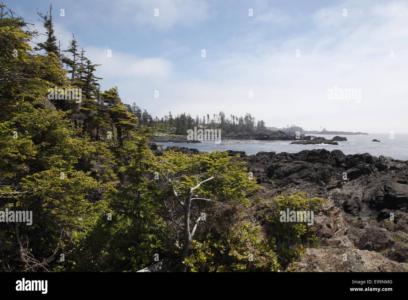 Vancouver island trail hi-res stock photography and images - Alamy