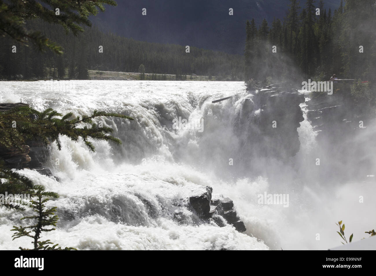 Athabasca wasserfall hi-res stock photography and images - Alamy