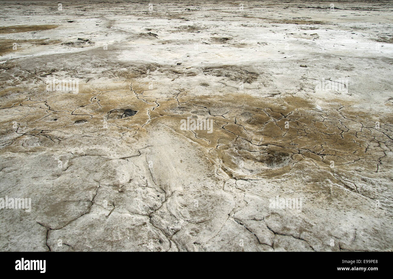 Dried bottom of salty lake Baskunchak Stock Photo - Alamy